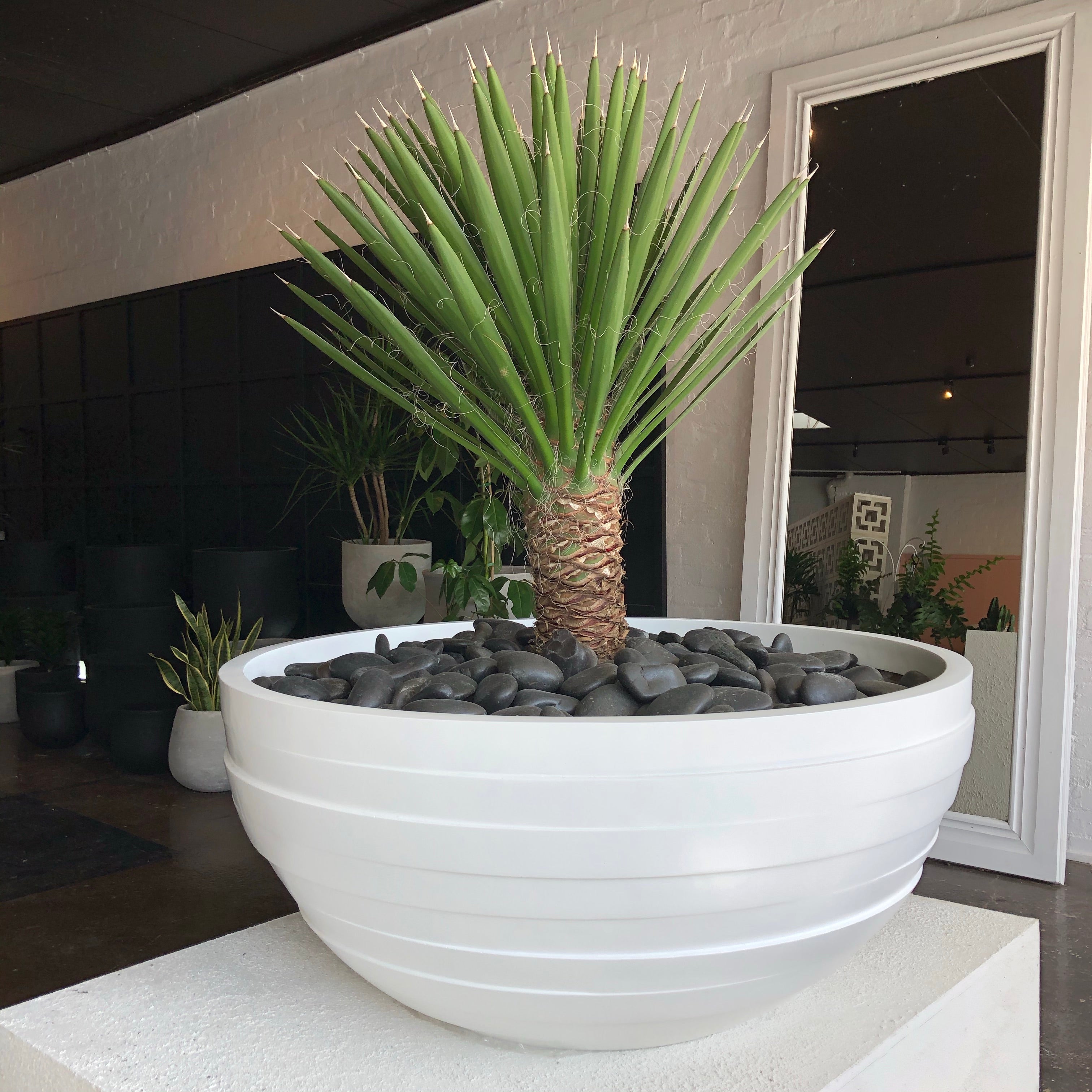 Caldera Pot – On The Side